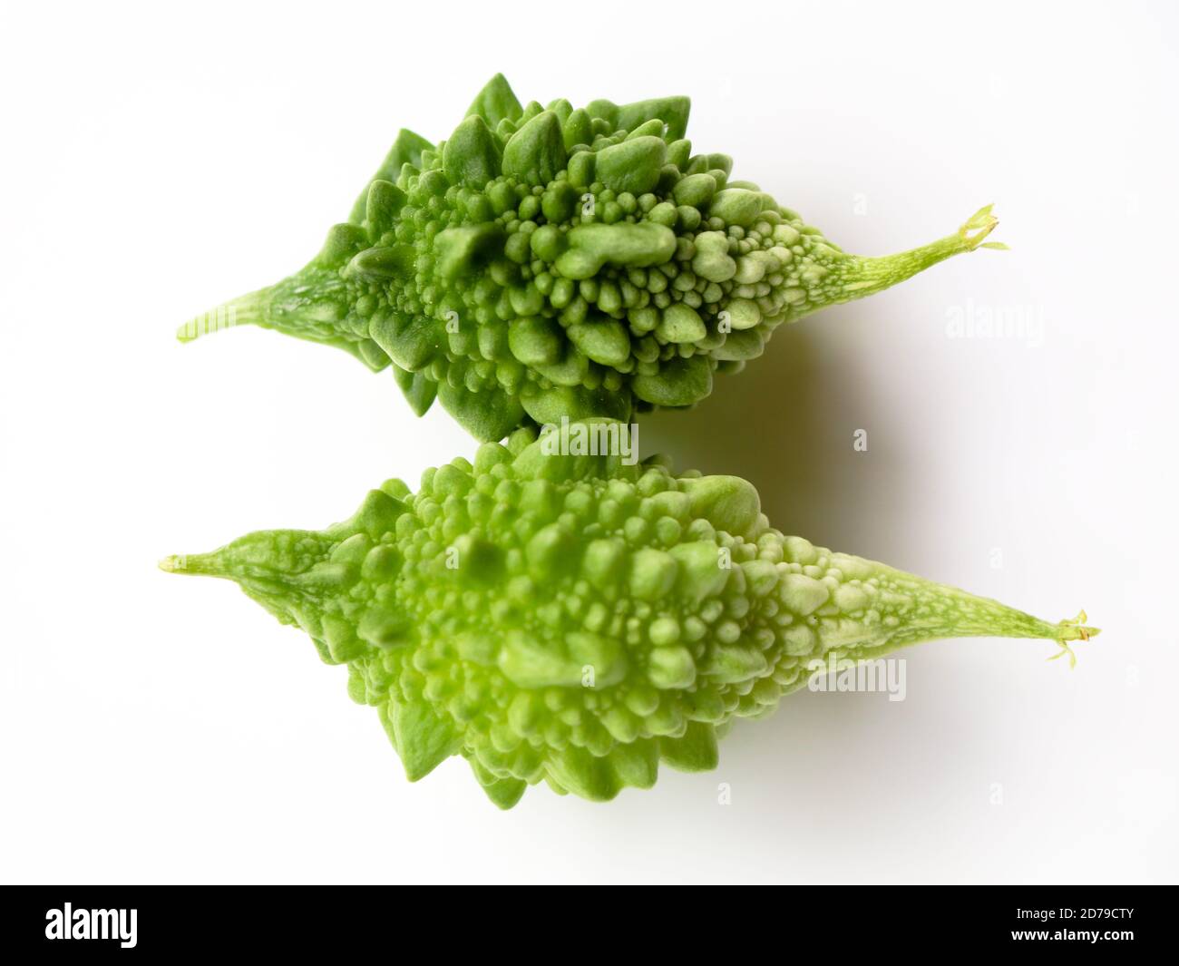 Bitter melon fruit against hi-res stock photography and images - Alamy