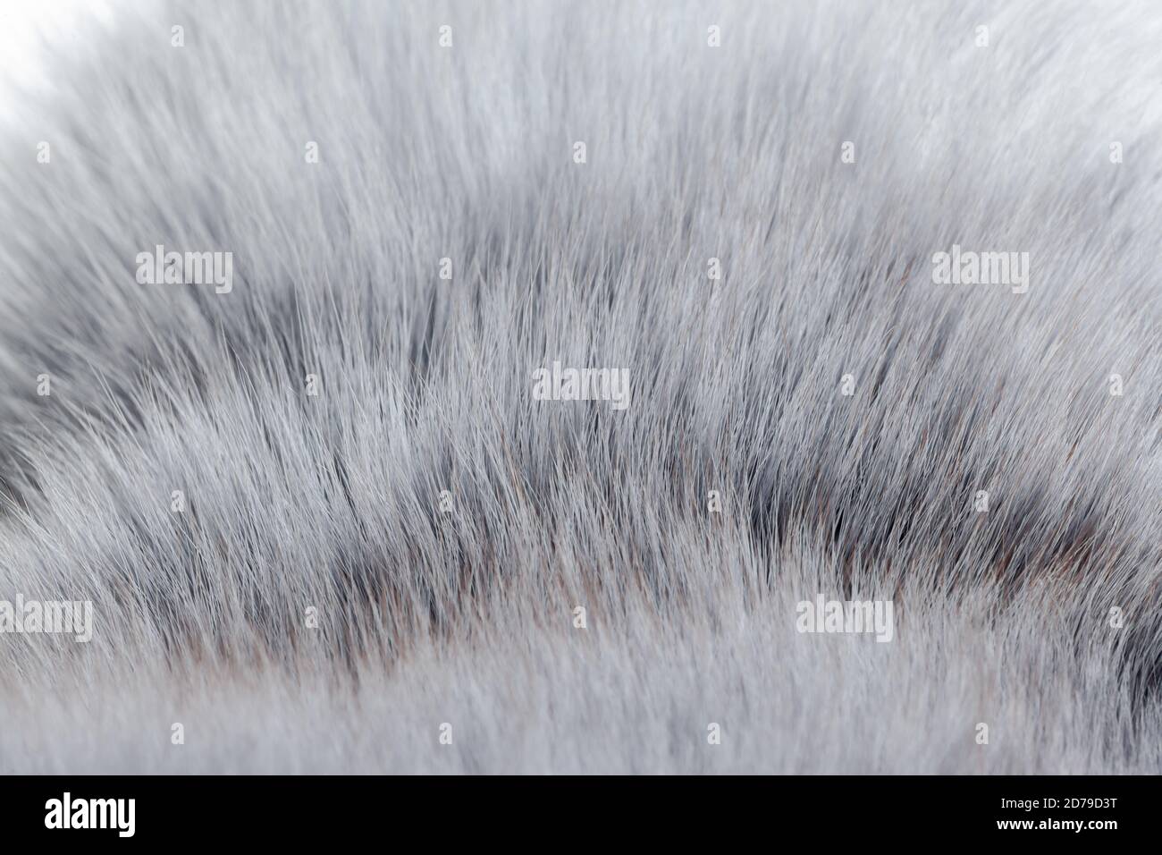 Pure white skin hi-res stock photography and images - Alamy