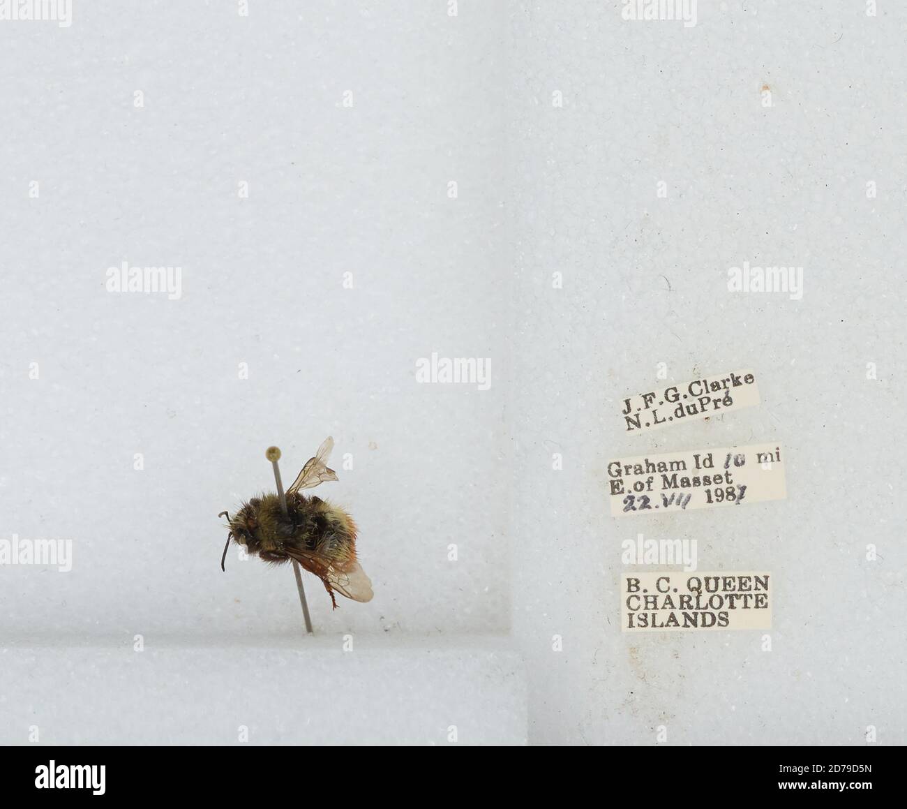 Graham Miles High Resolution Stock Photography and Images - Alamy