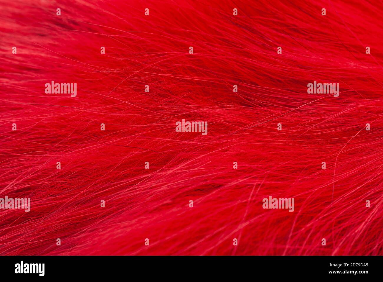 Red fur texture hi-res stock photography and images - Alamy