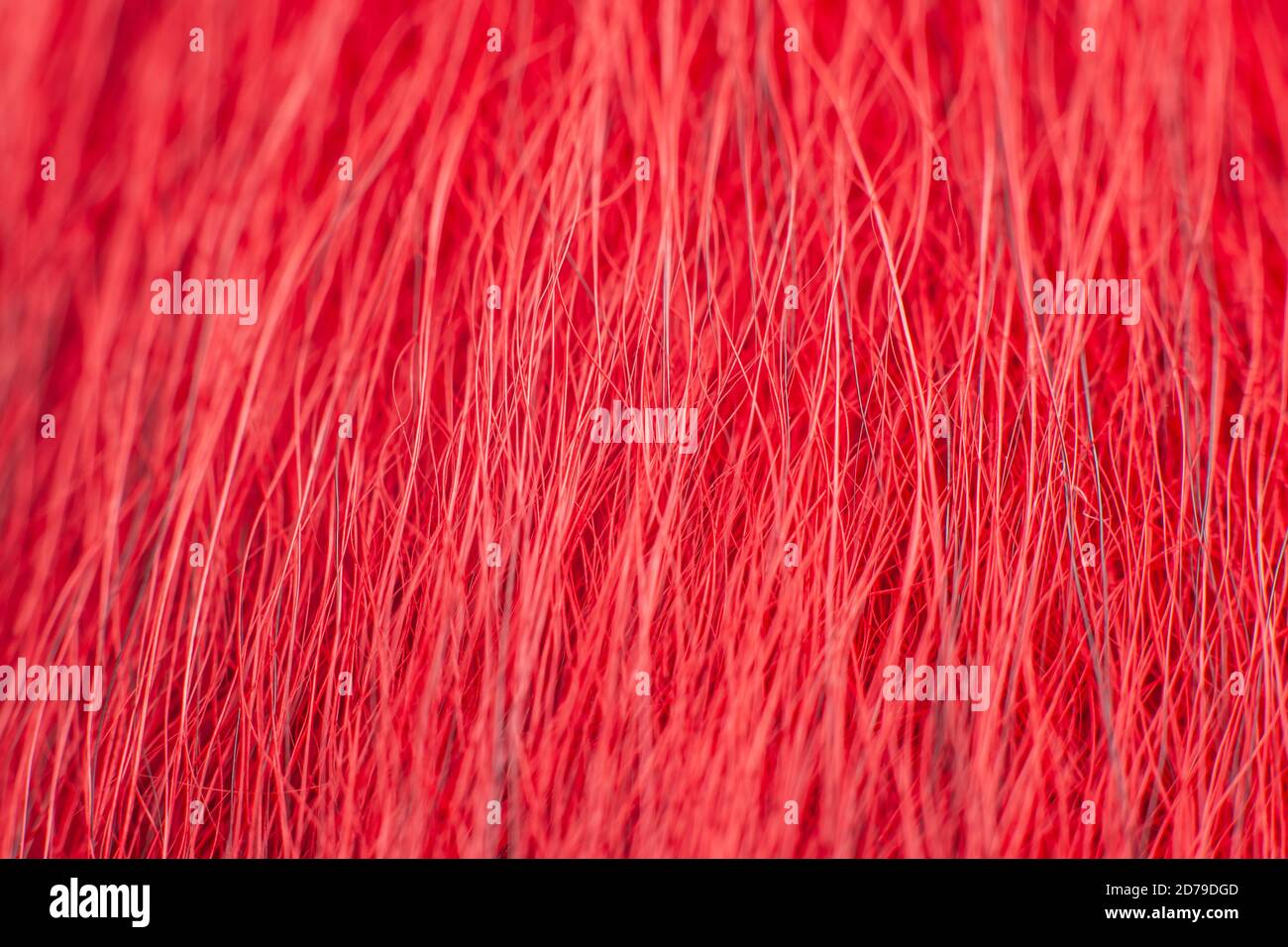 Fur close hi-res stock photography and images - Alamy