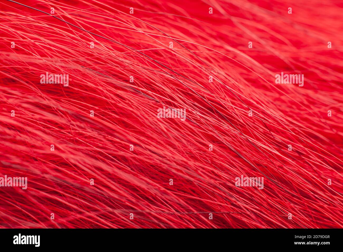 Red fur hi-res stock photography and images - Alamy