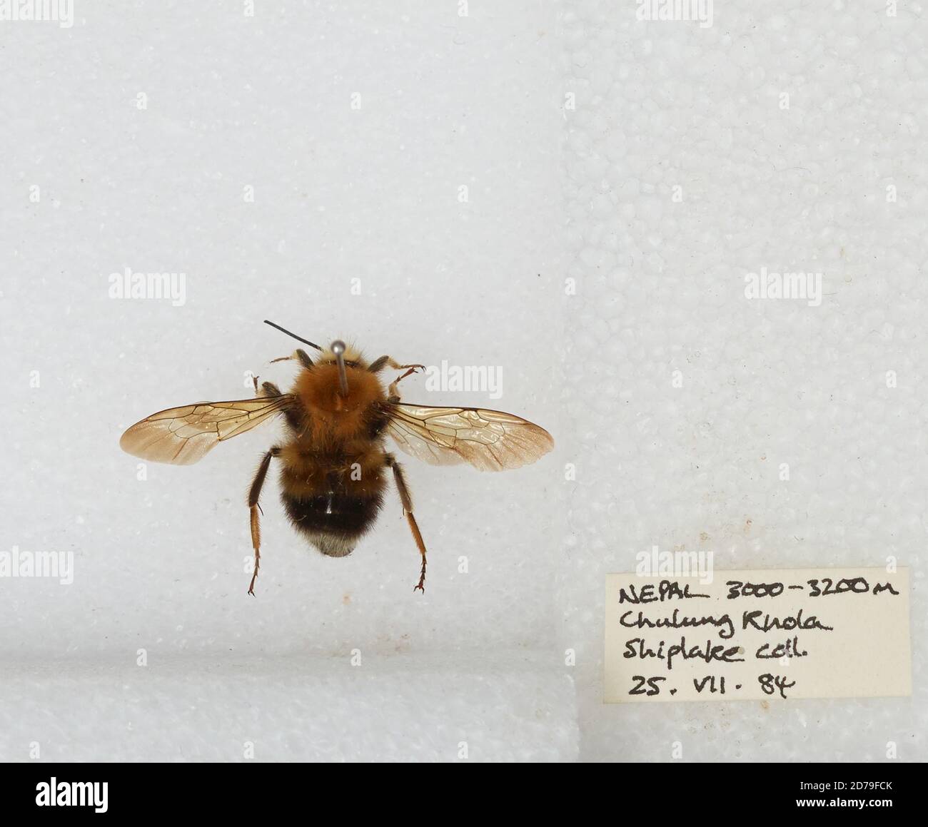 Chulung khola hi-res stock photography and images - Alamy