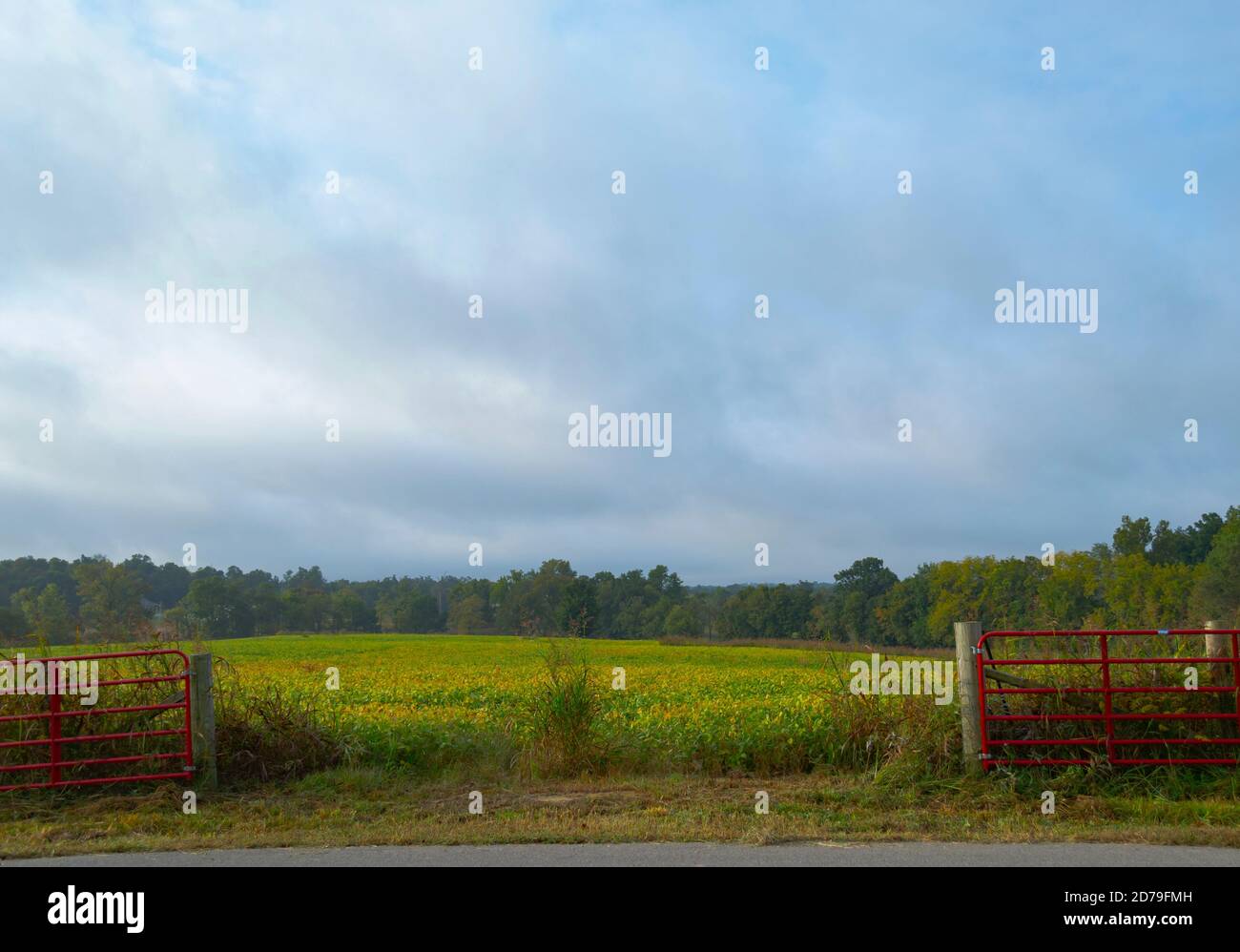 Gate opening to a soybean field Stock Photo - Alamy