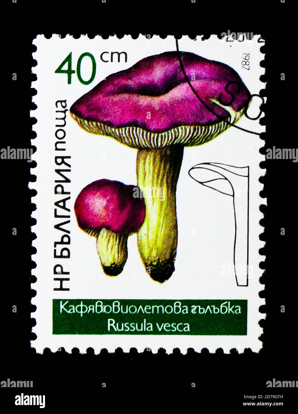 MOSCOW, RUSSIA - DECEMBER 21, 2017: A stamp printed in Bulgaria shows ...