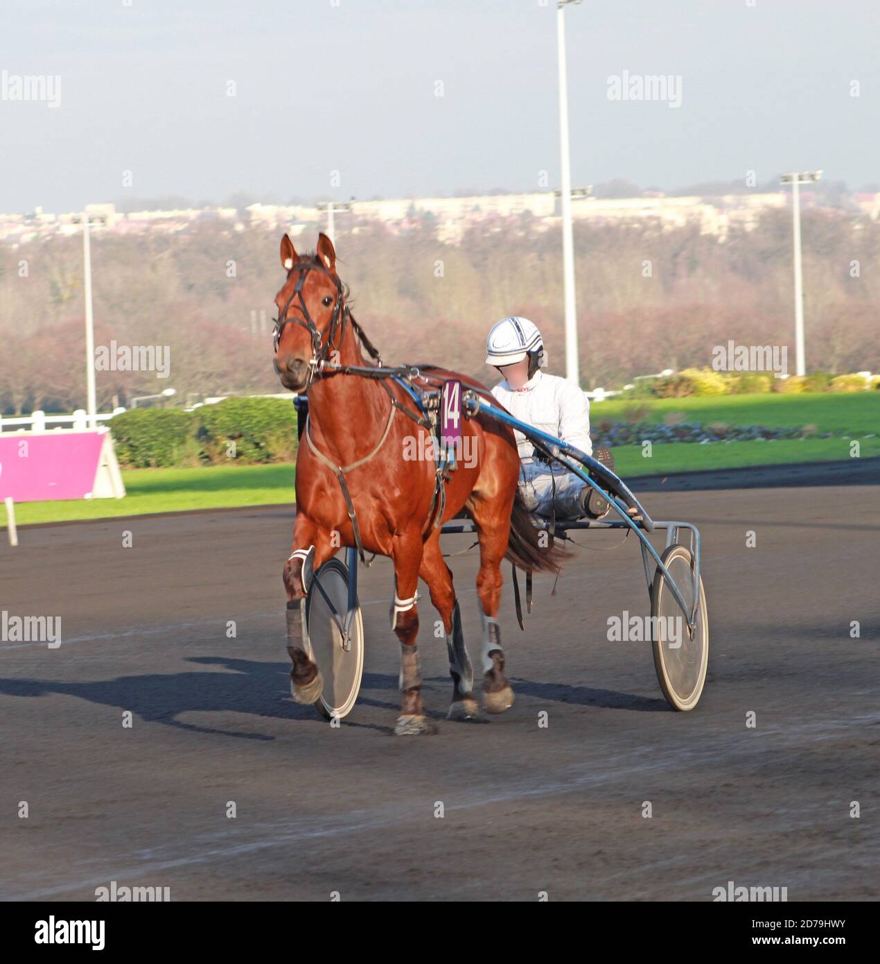Vincennes hippodrome de paris hi-res stock photography and images - Alamy