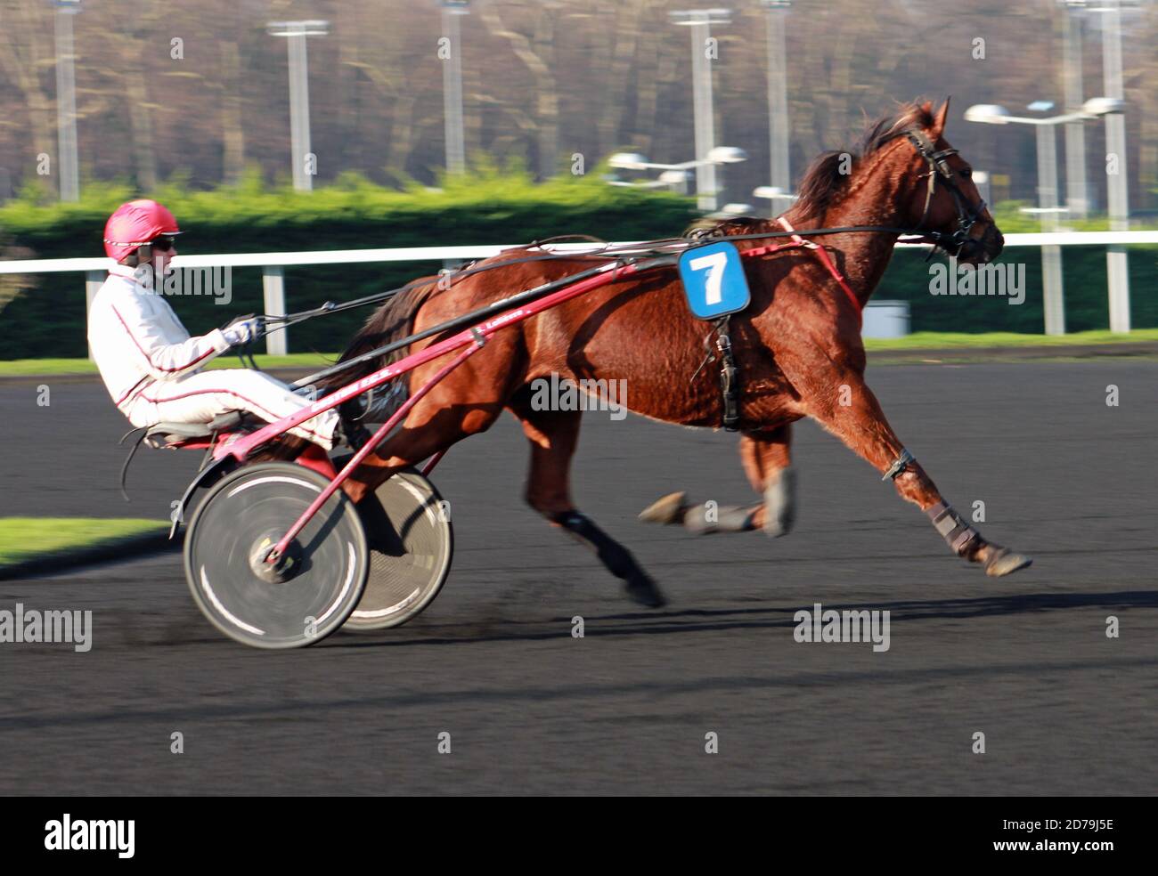 Hippodrome de courses de chevaux hi-res stock photography and images ...