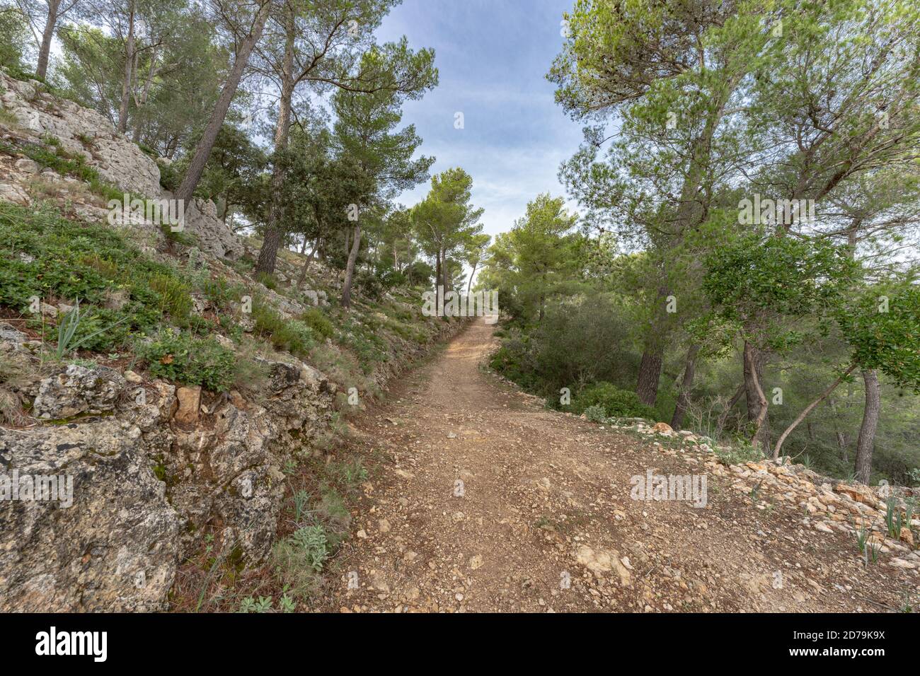 Garrigue mallorca hi-res stock photography and images - Alamy