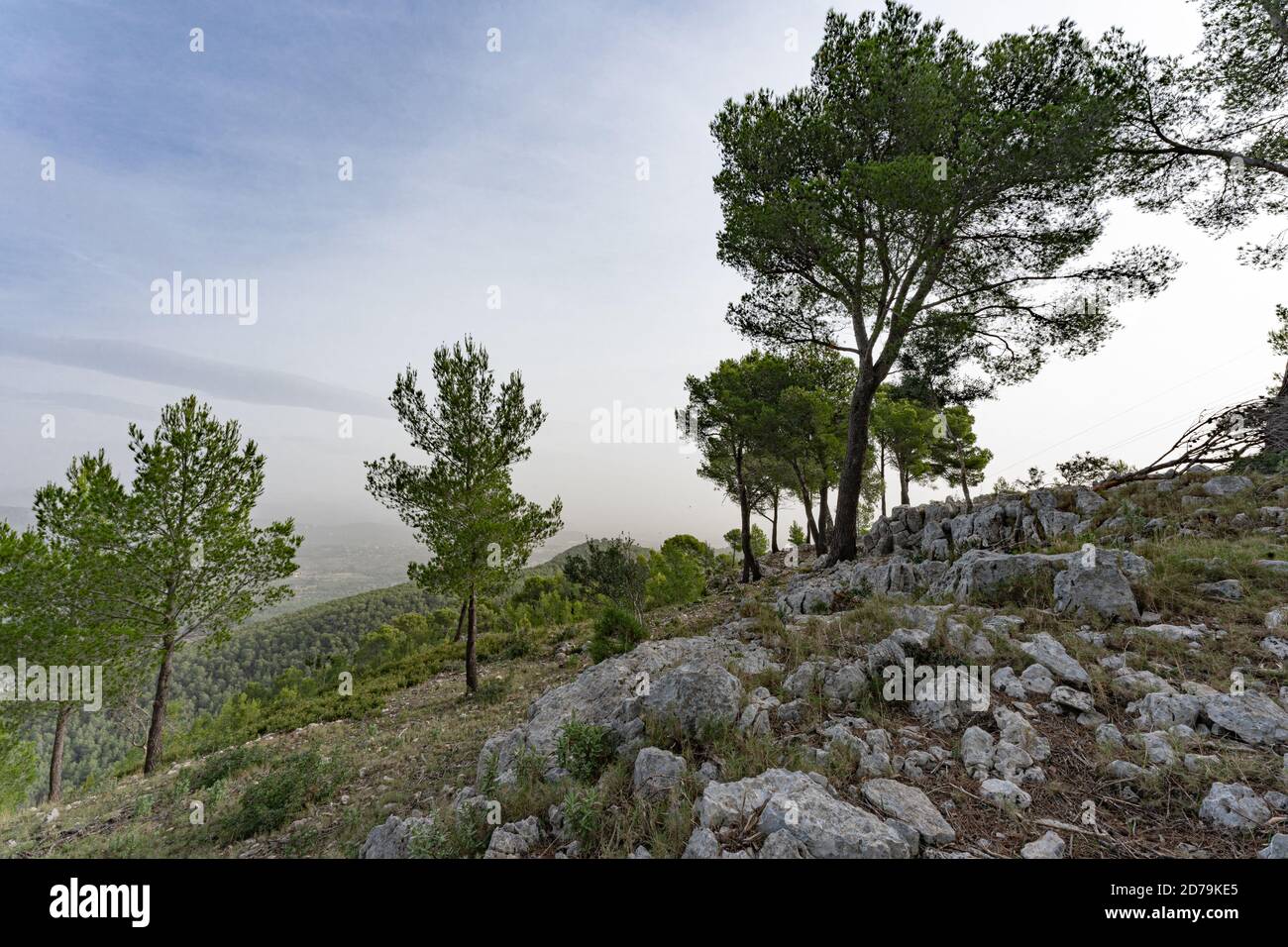 Garrigue mallorca hi-res stock photography and images - Alamy