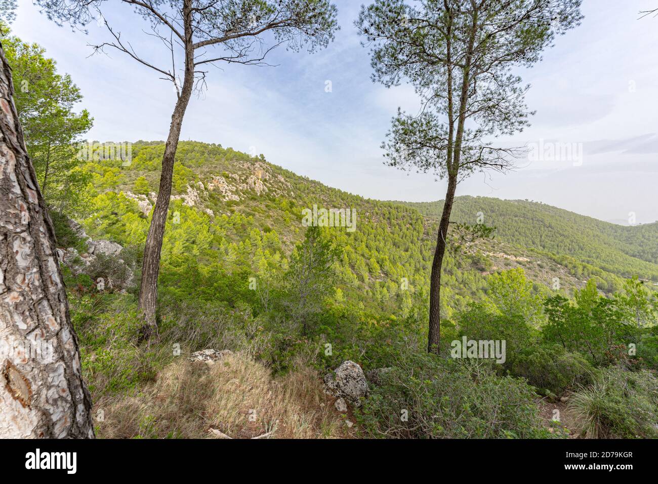 Garrigue mallorca hi-res stock photography and images - Alamy
