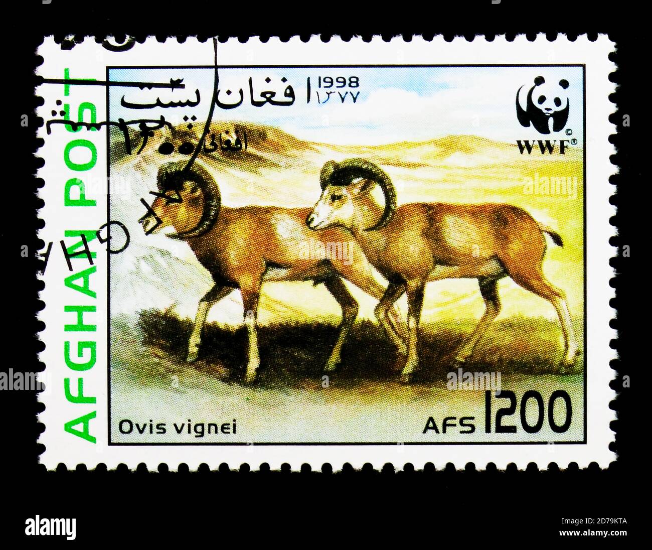 MOSCOW, RUSSIA - DECEMBER 21, 2017: A stamp printed in Afghanistan ...