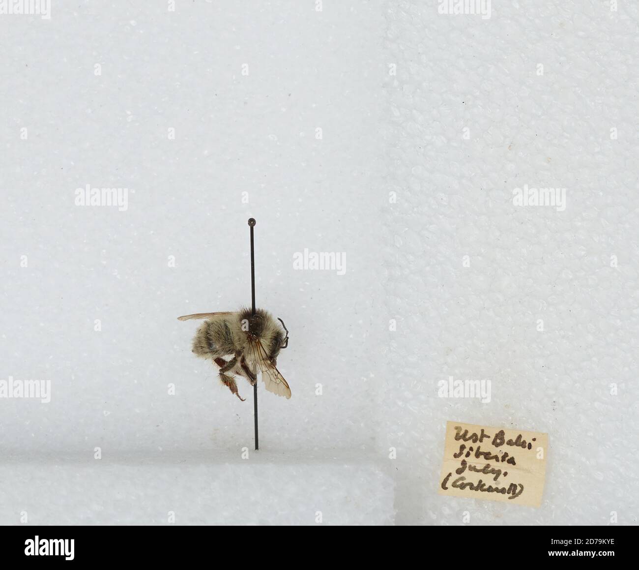 Ust baley hi-res stock photography and images - Alamy