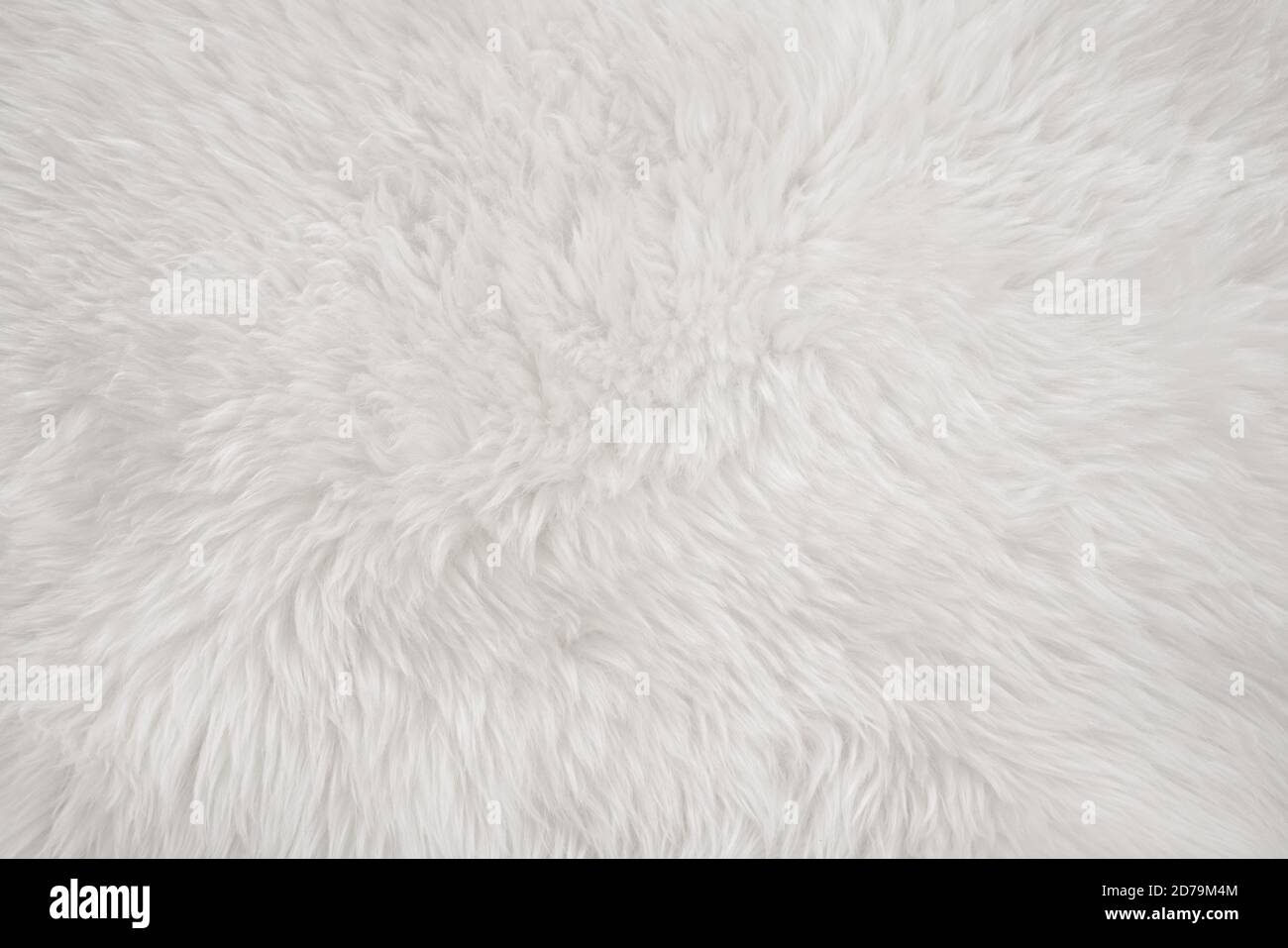 White real wool with beige top texture background. light cream natural ...