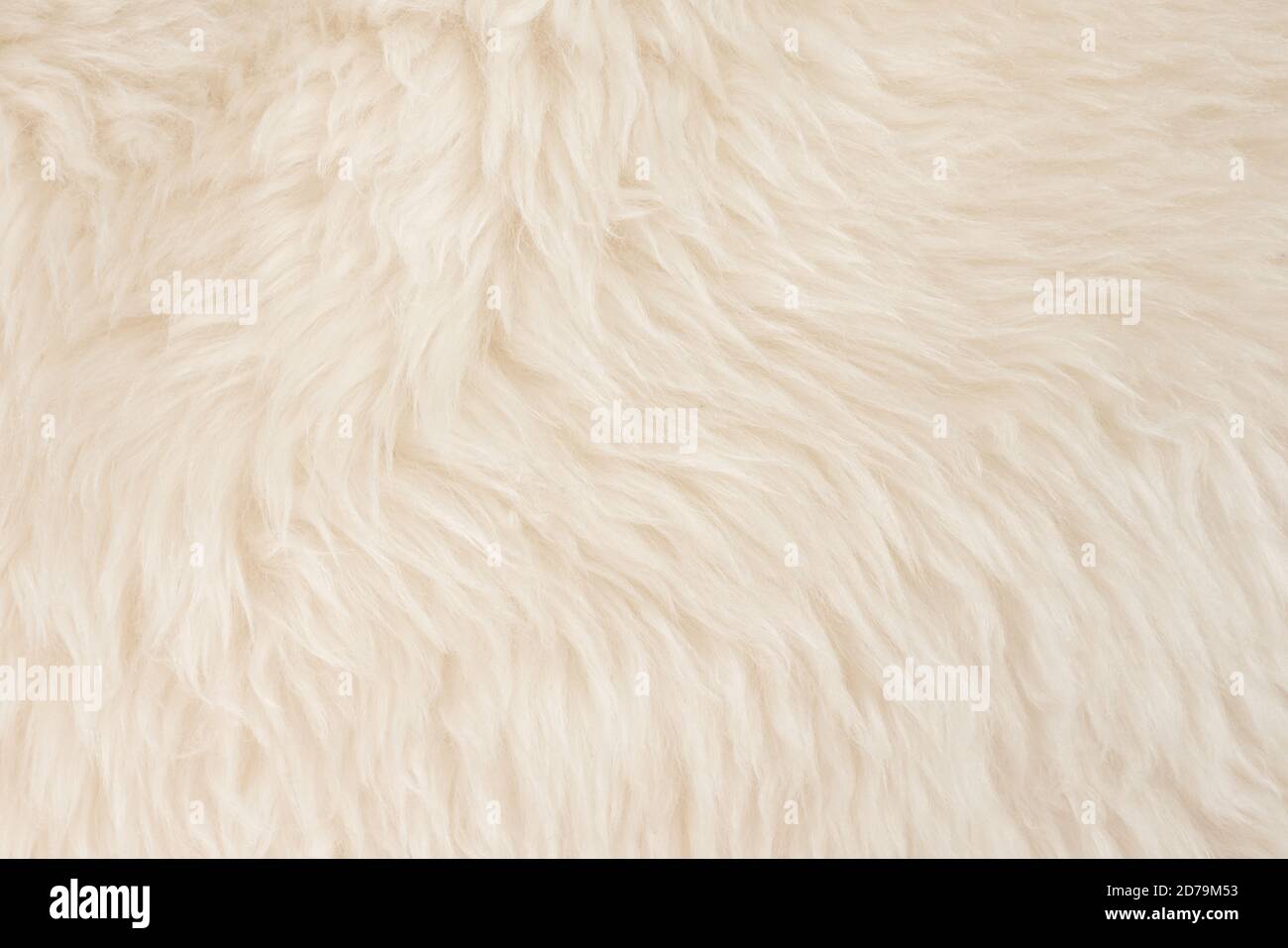 White real wool with beige top texture background. light cream natural ...