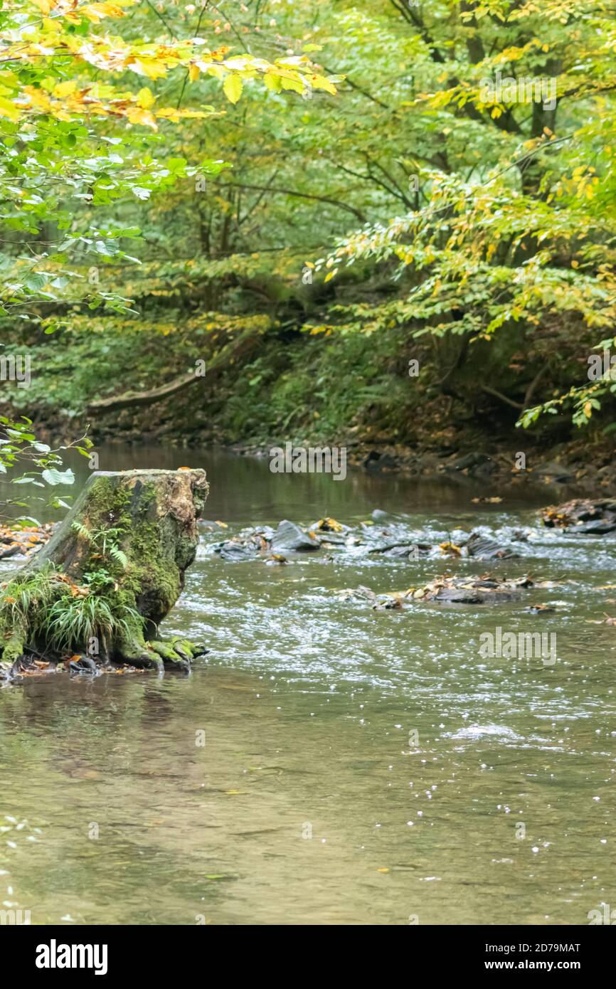 Floating over stone hi-res stock photography and images - Alamy