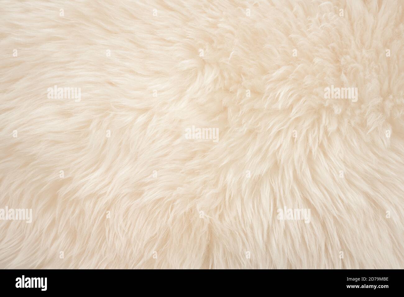 White real wool with beige top texture background. light cream natural ...