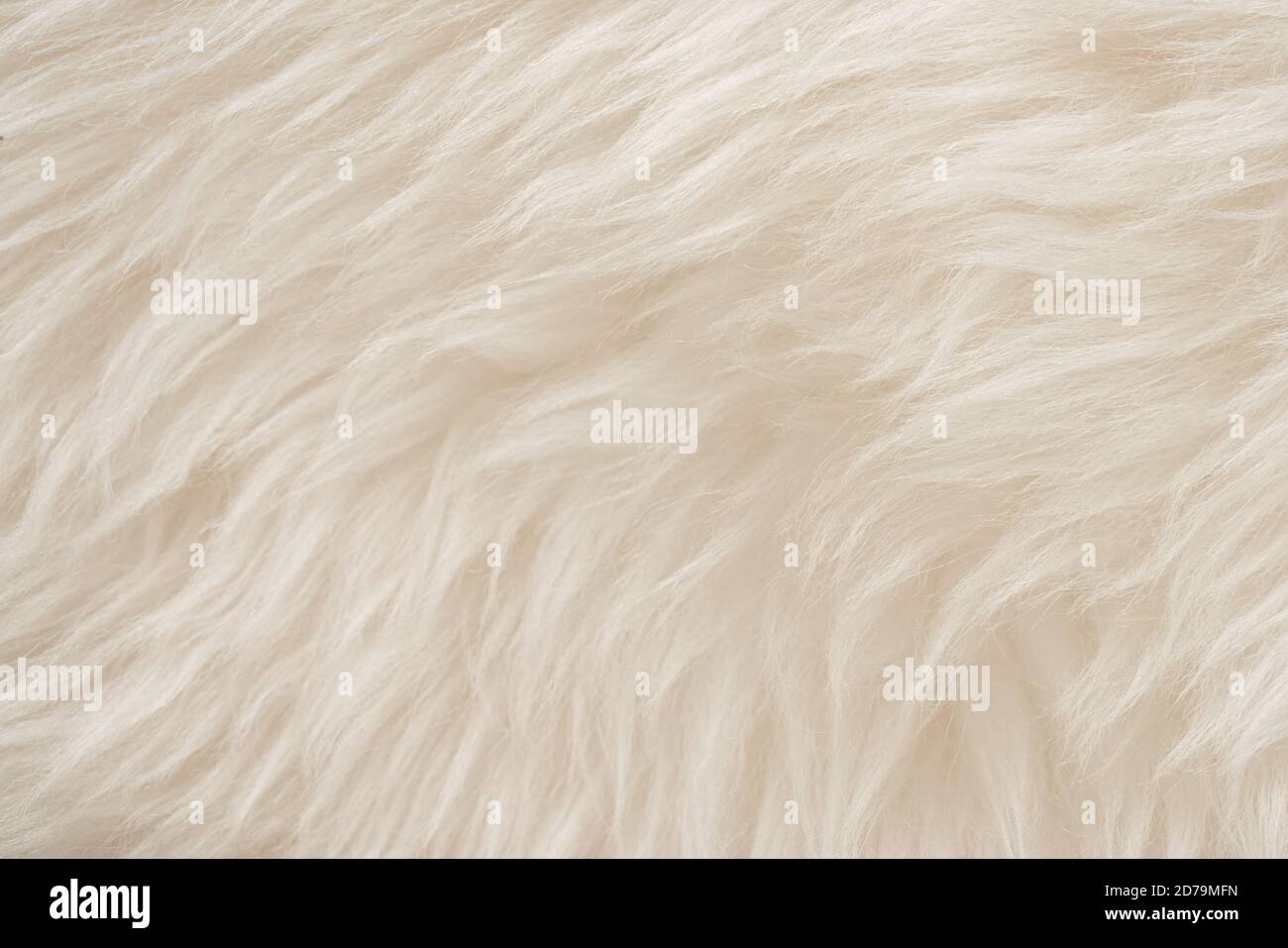 White real wool with beige top texture background. light cream natural ...