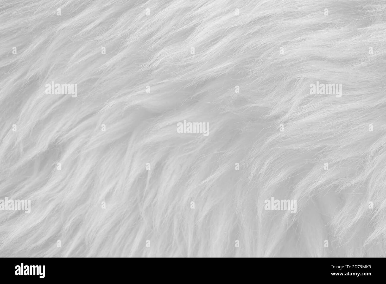 White real wool with beige top texture background. light cream natural ...