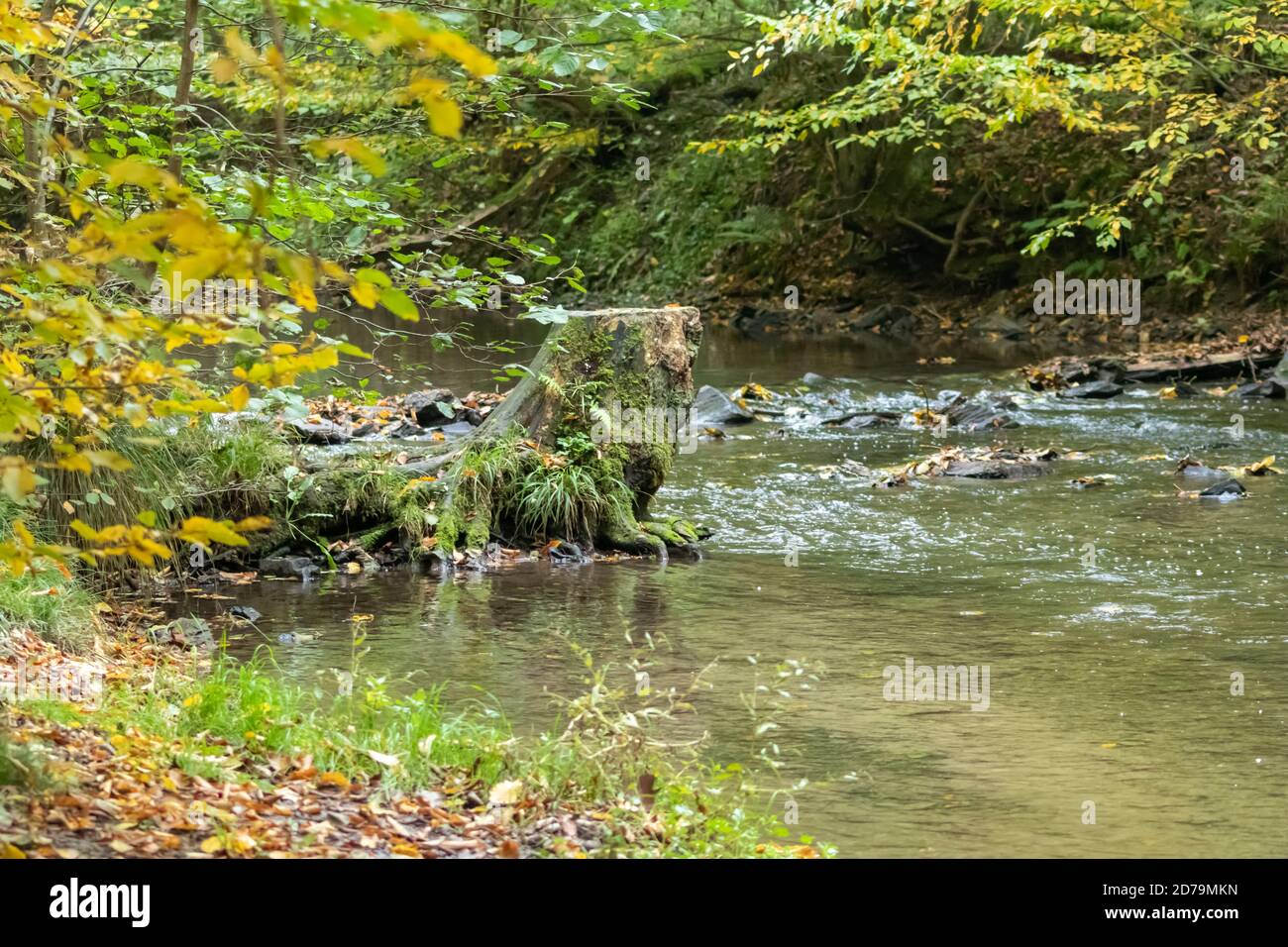 Little dam infront of an old bridge over a little creek or forest brook ...