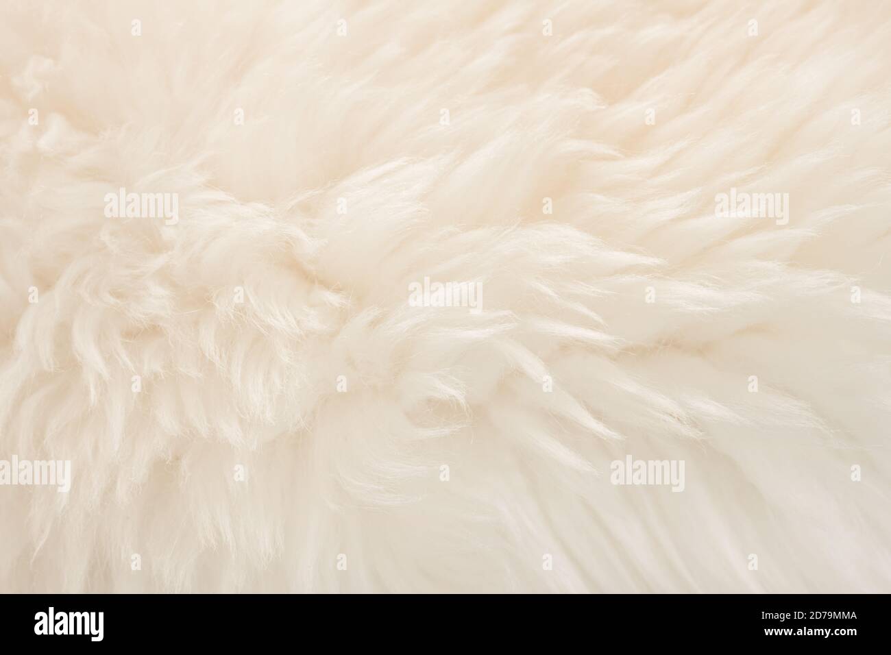 White real wool with beige top texture background. light cream natural ...