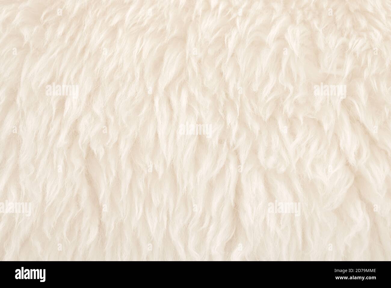 White real wool with beige top texture background. light cream natural ...
