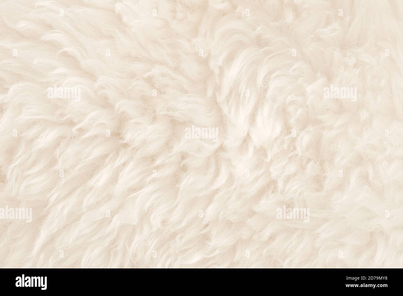 White real wool with beige top texture background. light cream natural ...