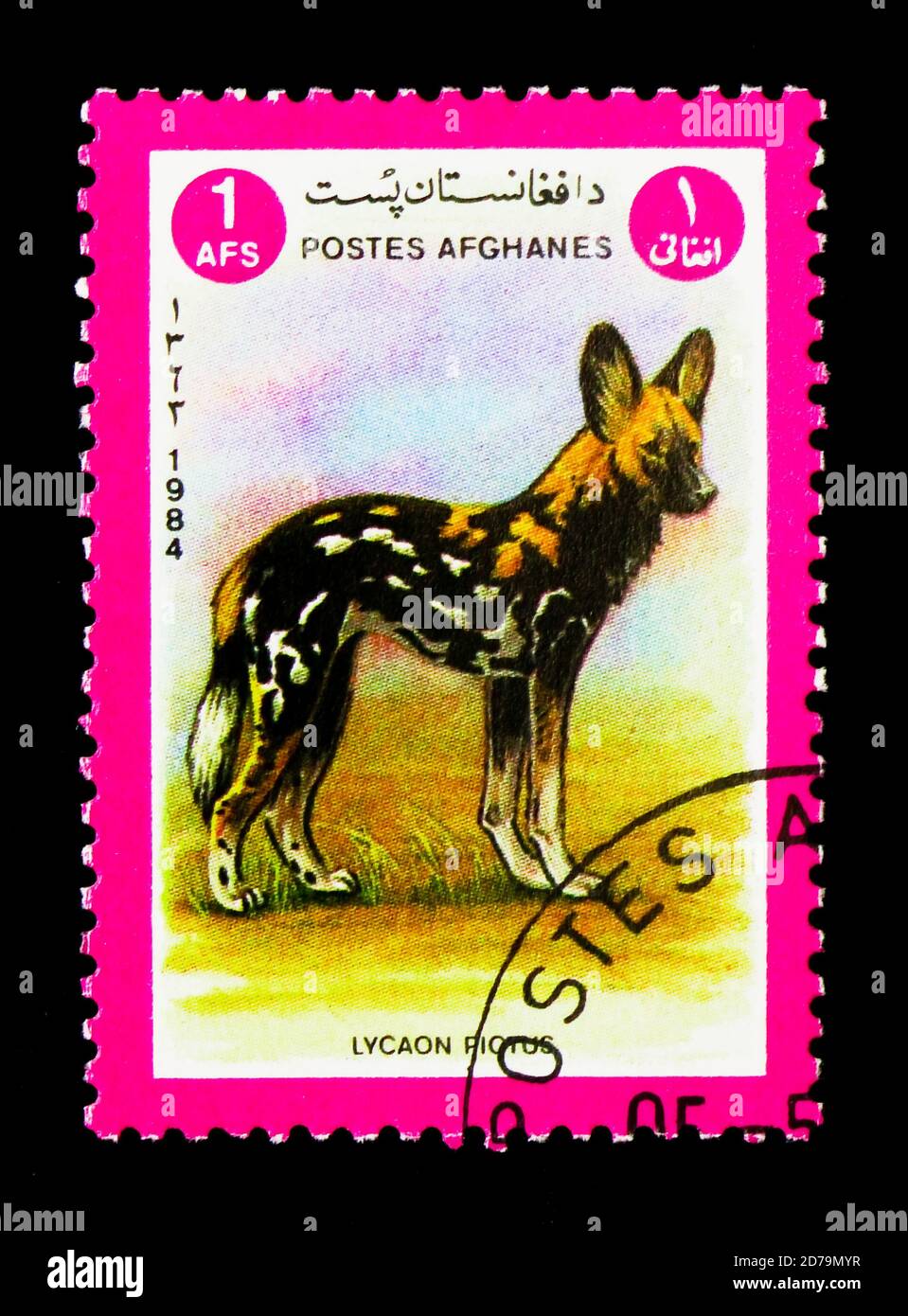 Lycaon stamp hi-res stock photography and images - Alamy