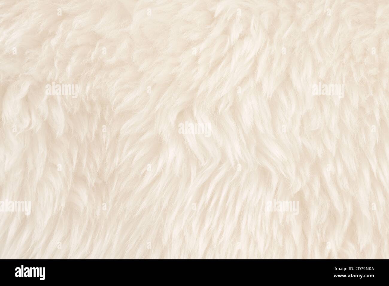 White real wool with beige top texture background. light cream natural ...