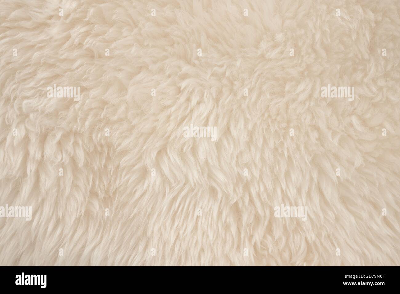 White real wool with beige top texture background. light cream natural ...