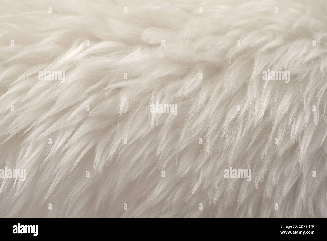 White real wool with beige top texture background. light cream natural ...