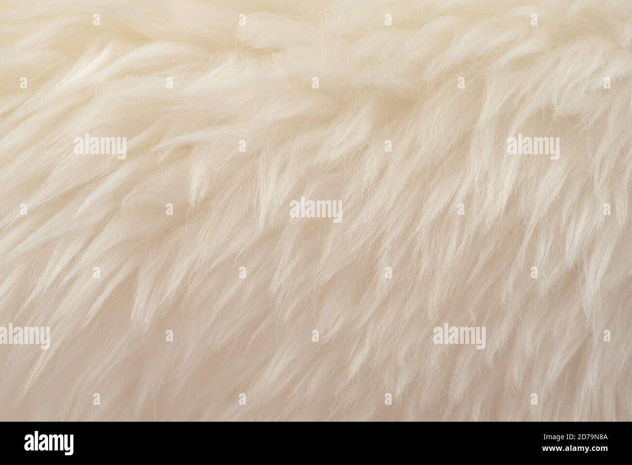 White real wool with beige top texture background. light cream natural ...