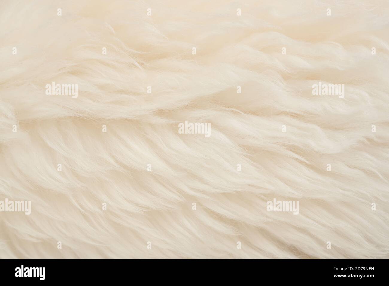 White real wool with beige top texture background. light cream natural ...