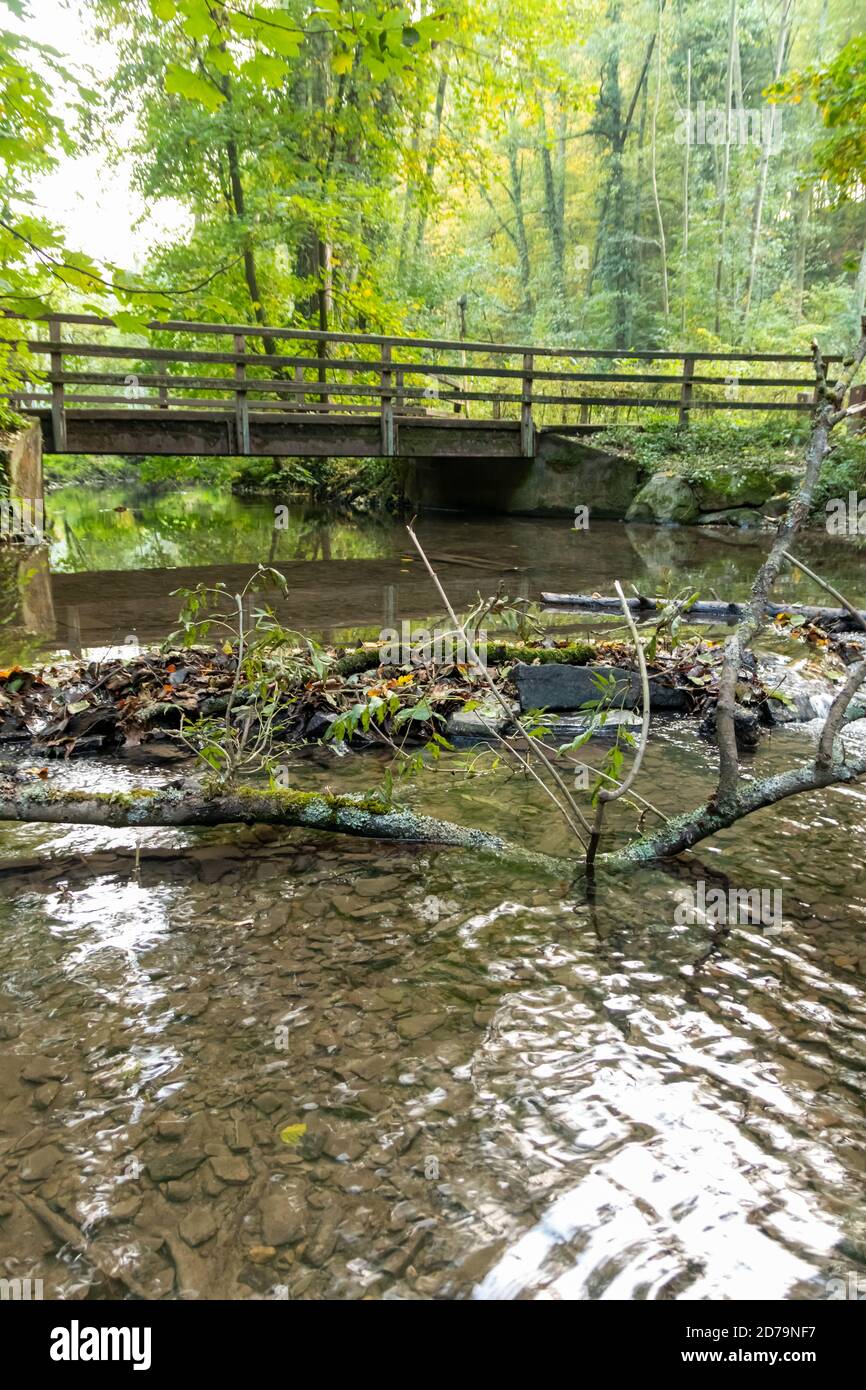 Floating creek hi-res stock photography and images - Alamy