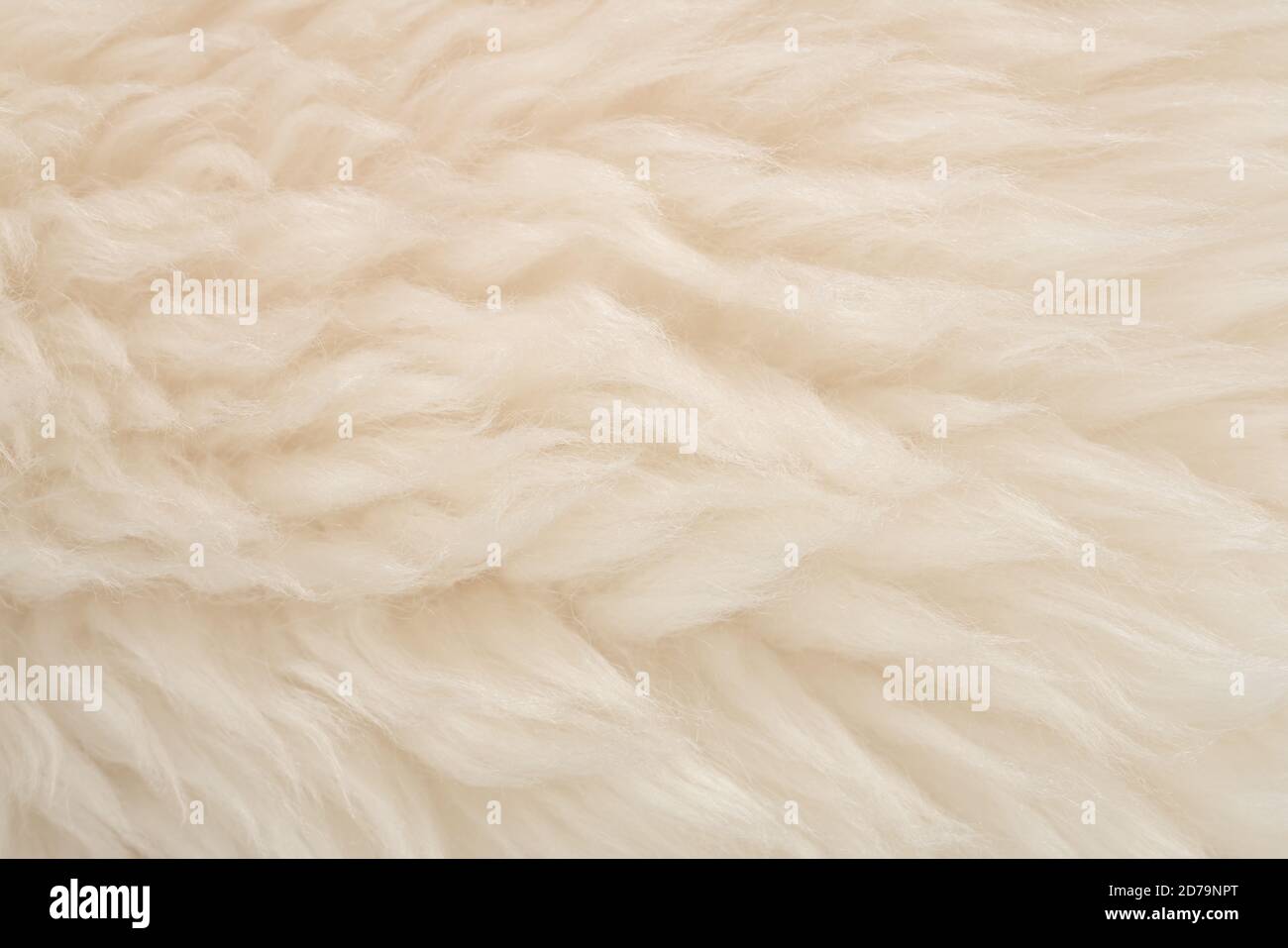 White real wool with beige top texture background. light cream natural ...