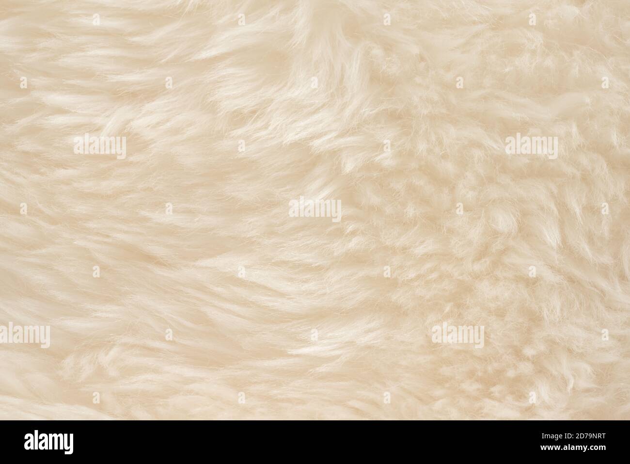 White real wool with beige top texture background. light cream natural ...