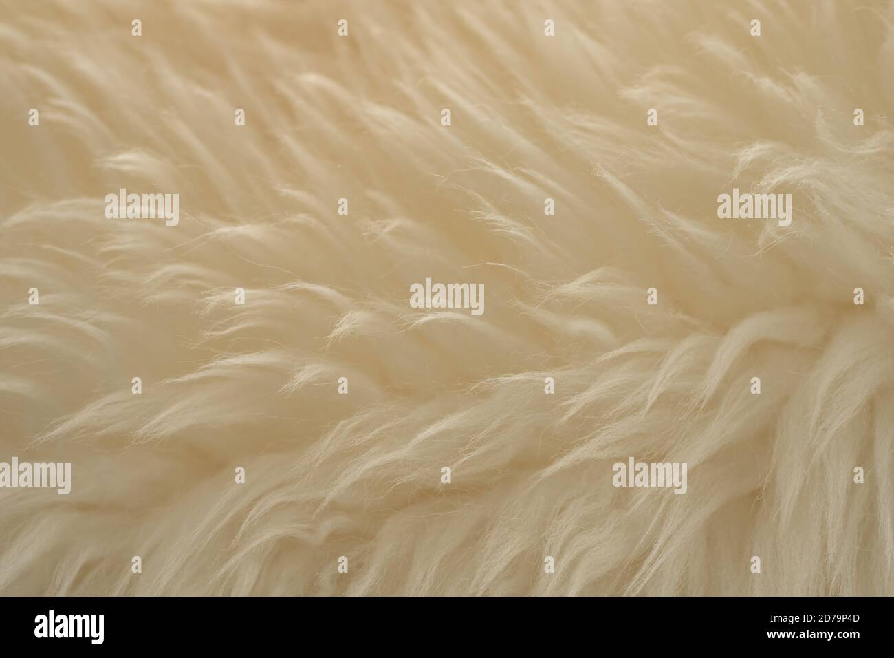 White real wool with beige top texture background. light cream natural ...