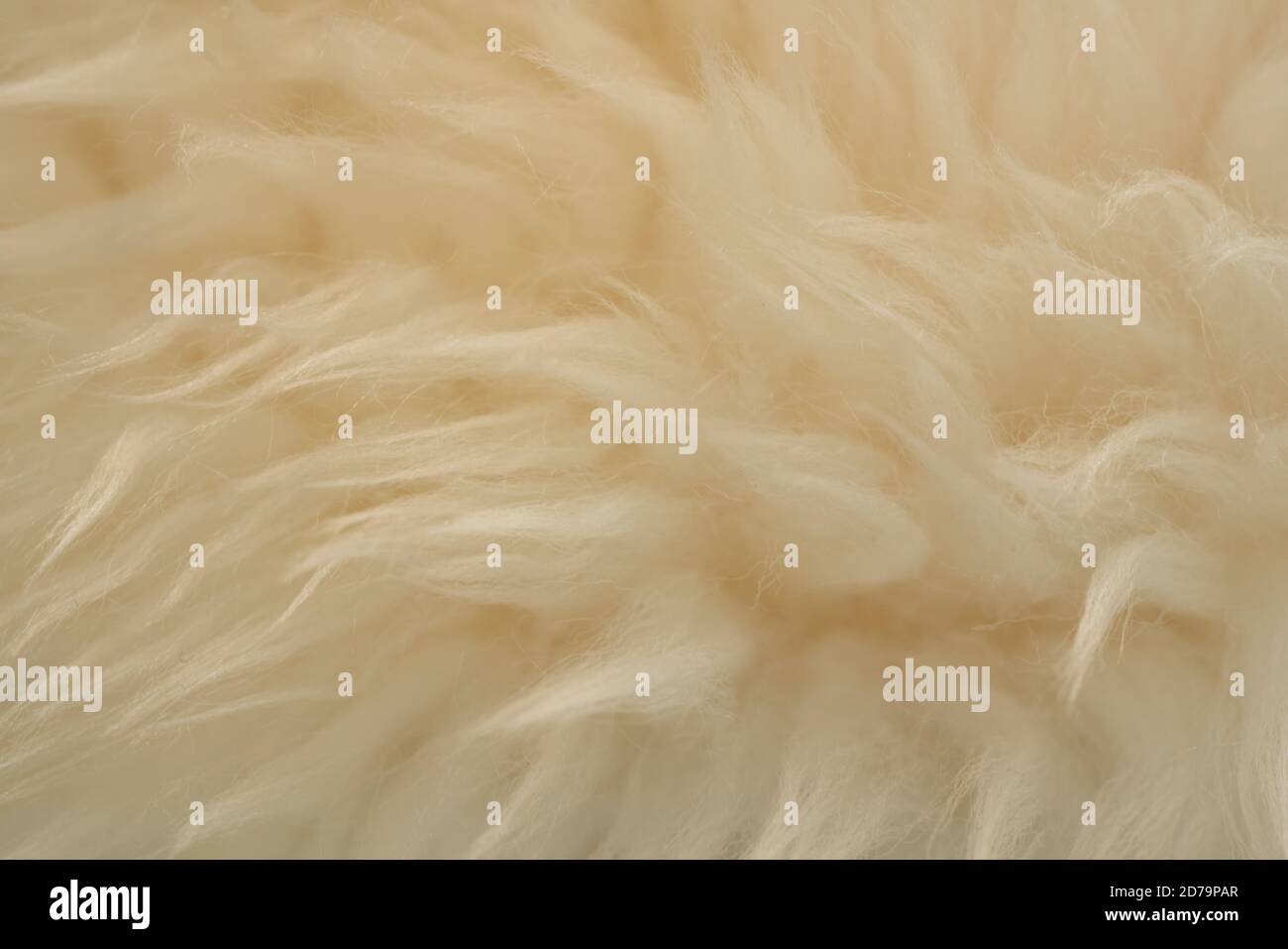 White real wool with beige top texture background. light cream natural ...