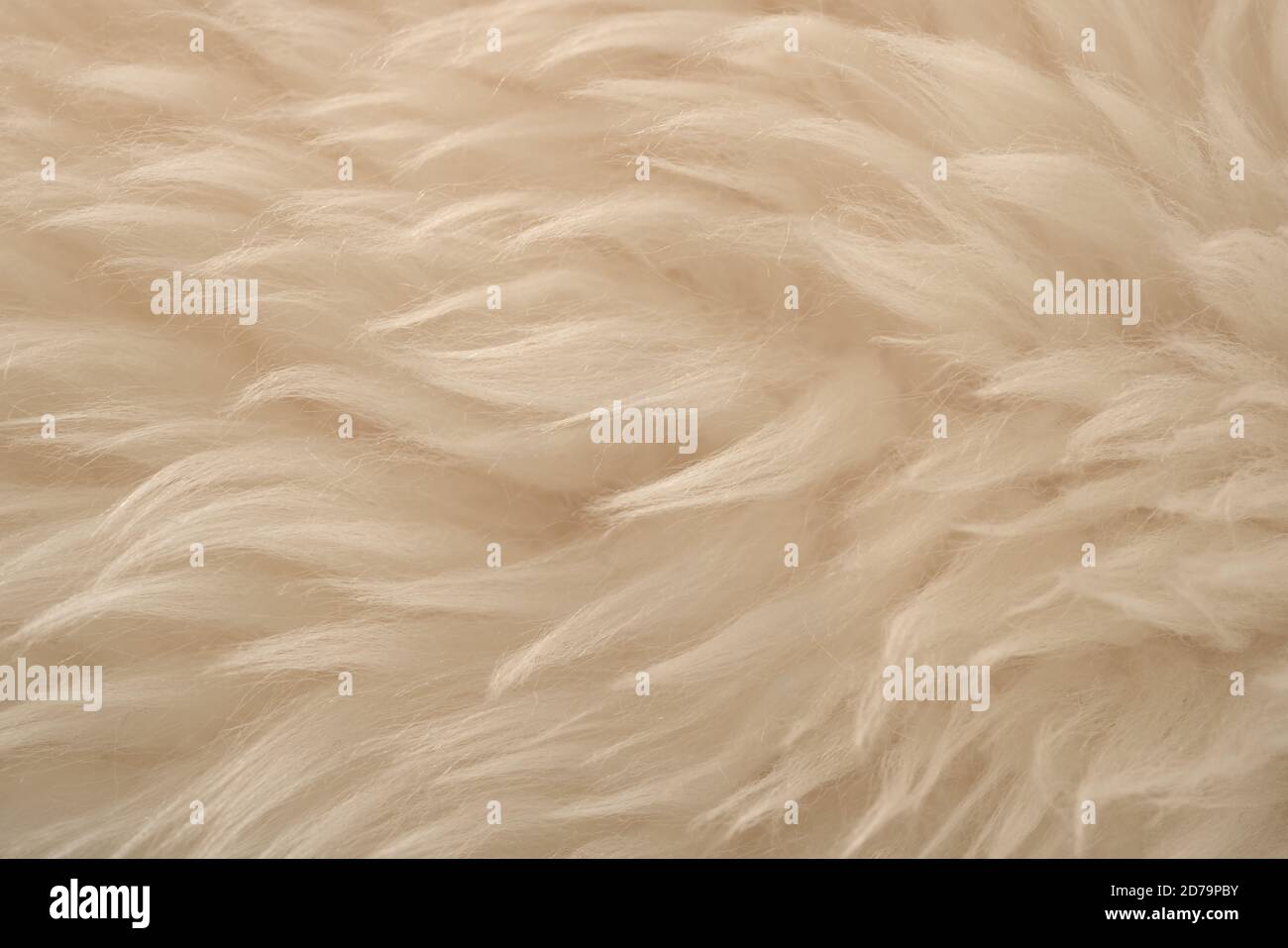 White real wool with beige top texture background. light cream natural ...