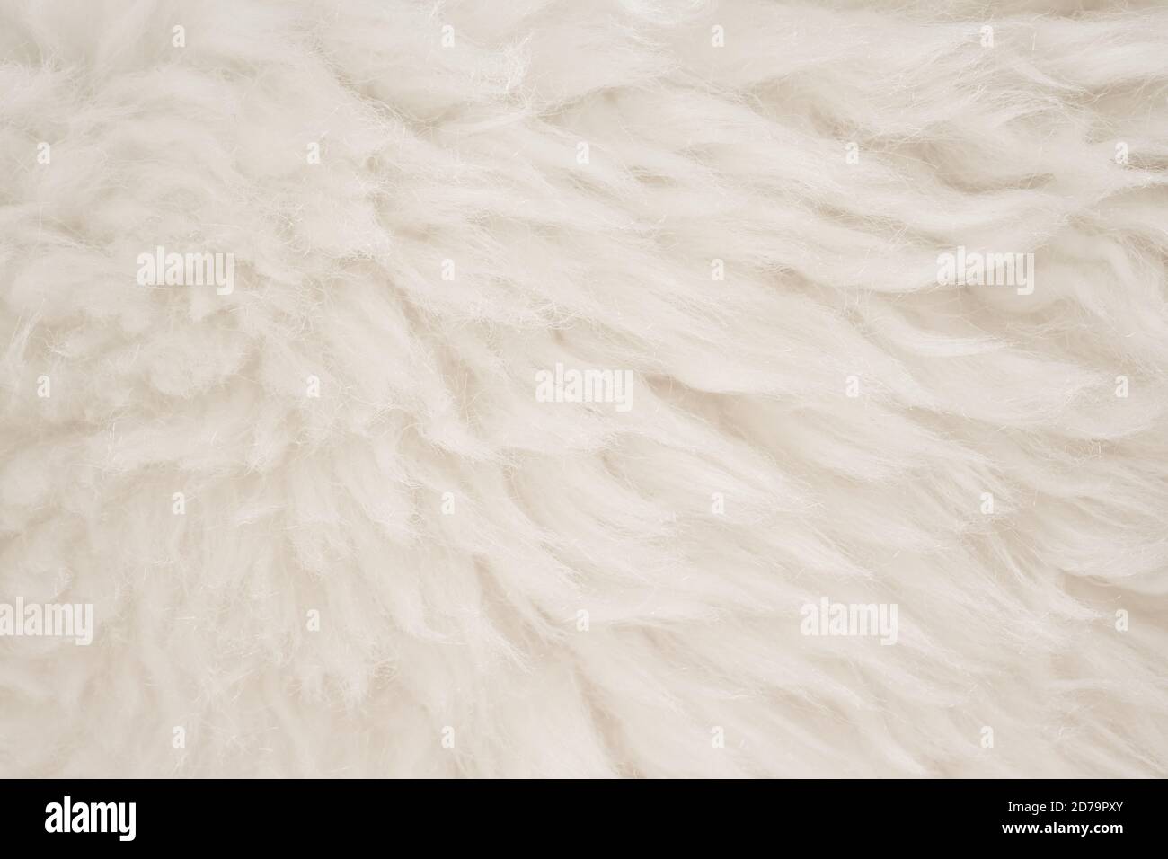 White real wool with beige top texture background. light cream natural ...