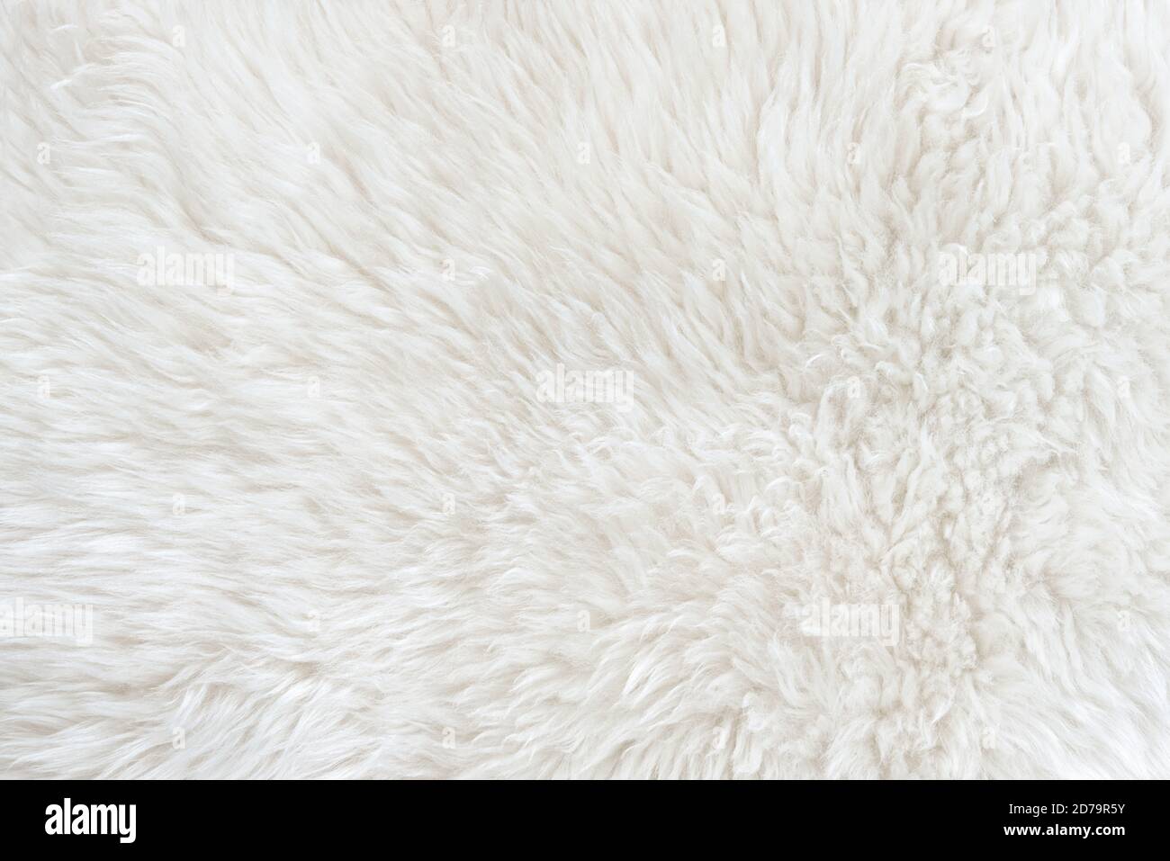 White real wool with beige top texture background. light cream natural ...