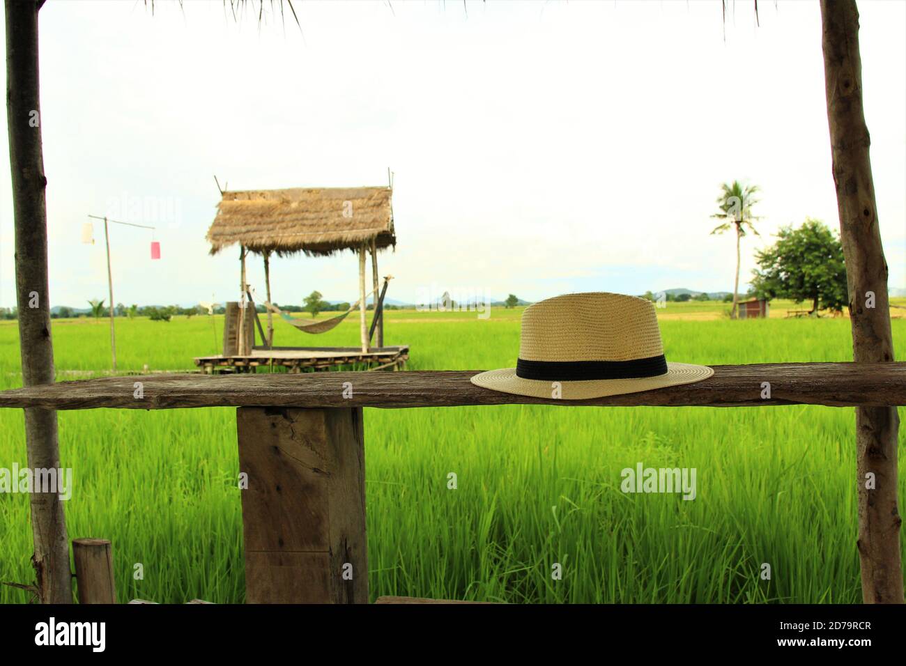 Rice field with little hut and the hat on wooden bench. photo Stock ...
