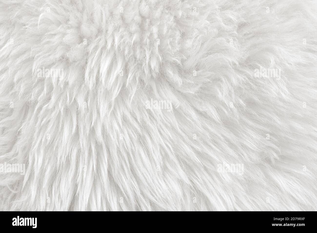 White real wool with beige top texture background. light cream natural ...