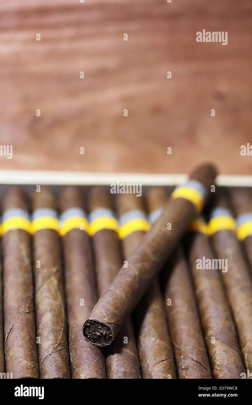 large wooden box of cigars handmade Cuban Stock Photo - Alamy
