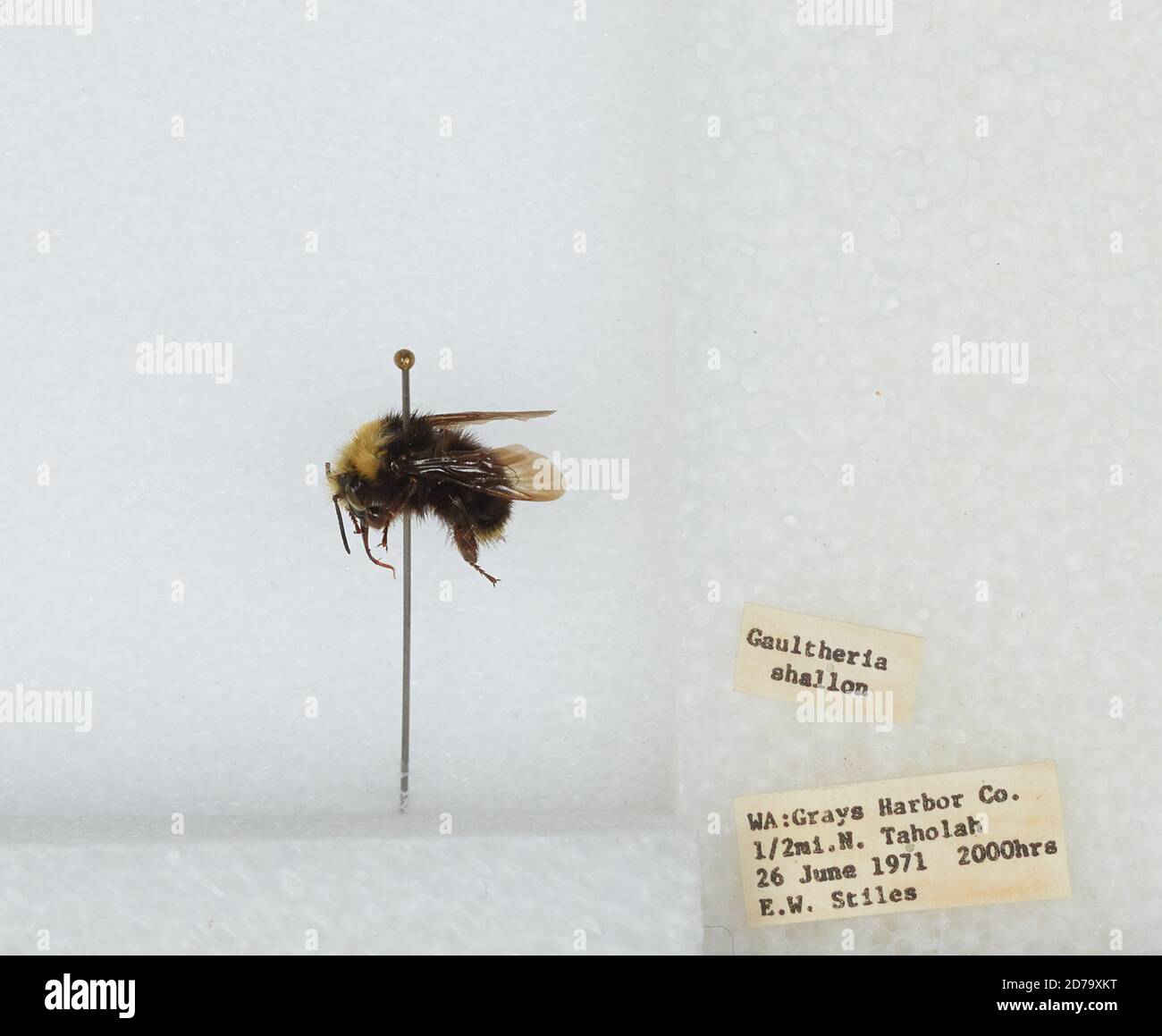 1/2 mile North of Taholah, Grays Harbor, Washington, United States ...