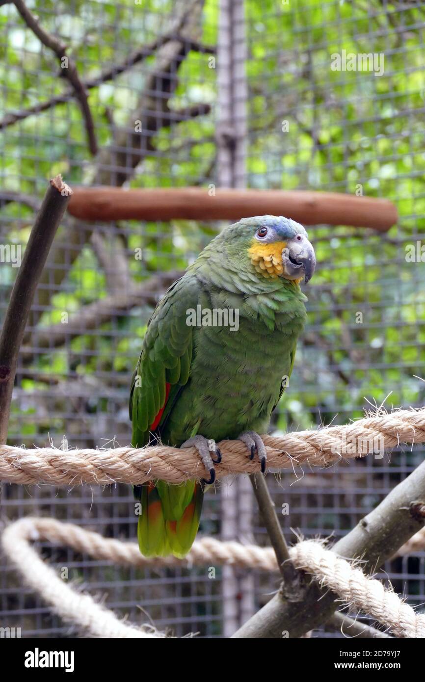 Amazon people talking hi-res stock photography and images - Alamy