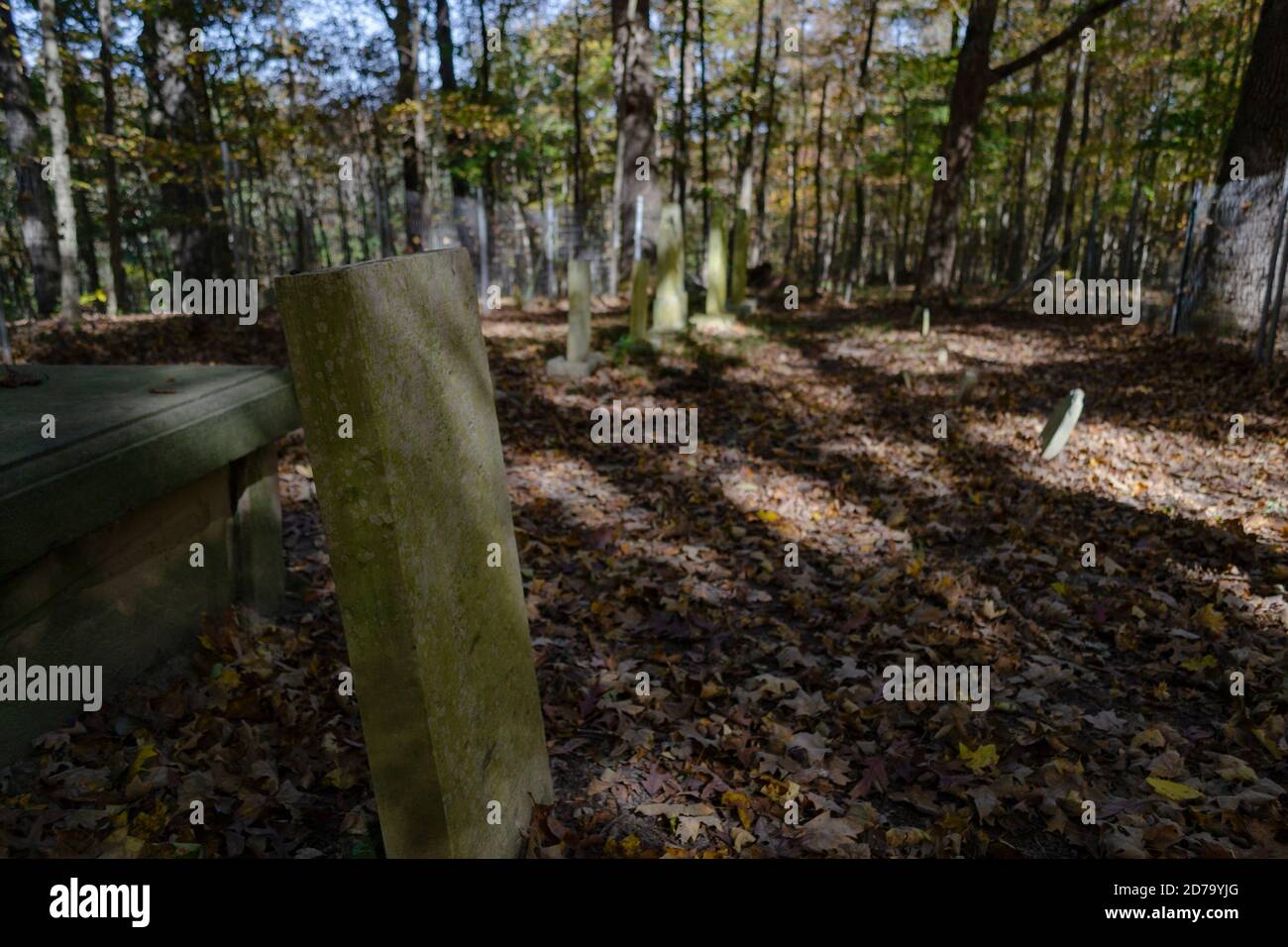 Small rural graveyard in the woods Stock Photo - Alamy