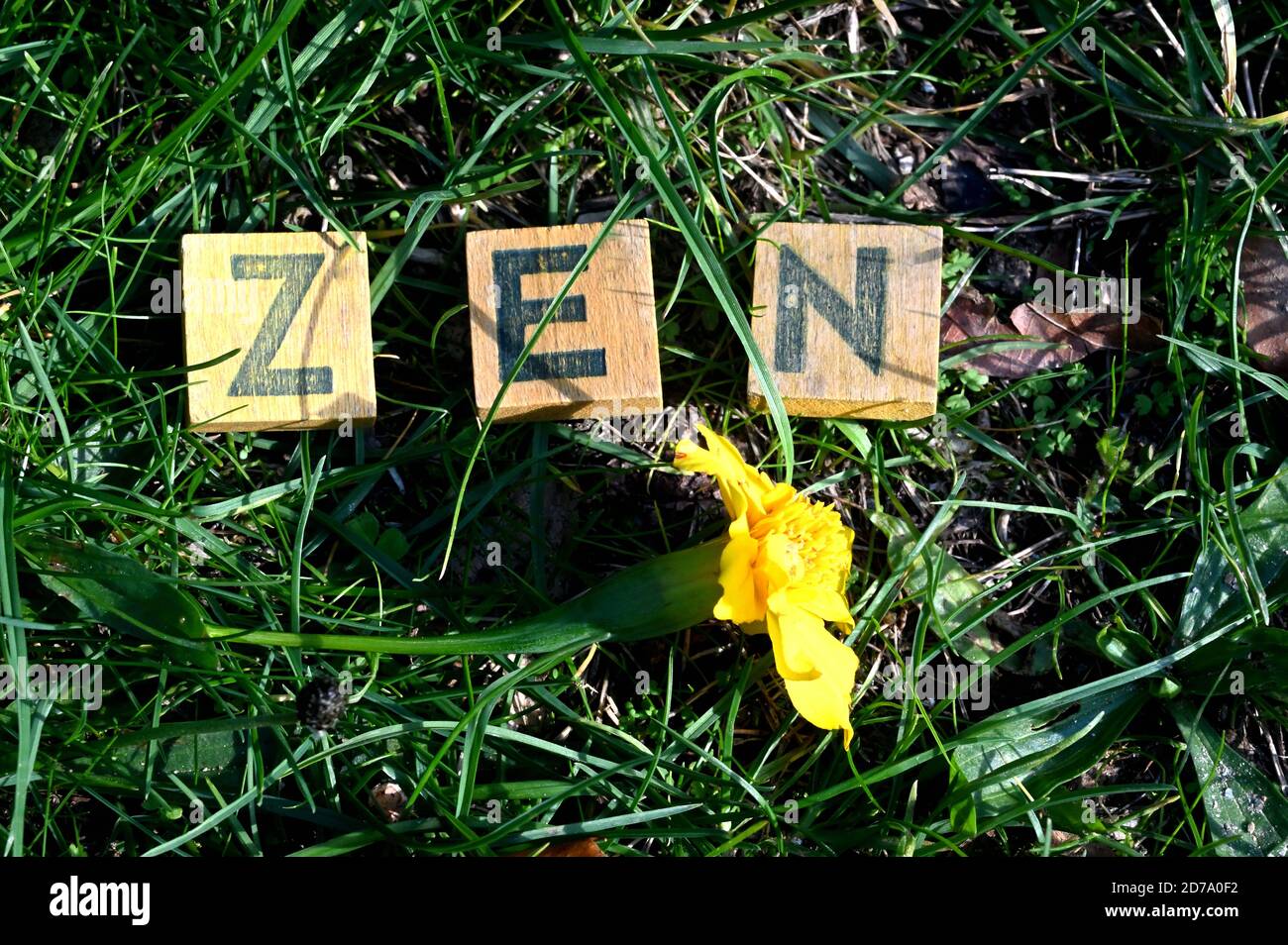 Zen alphabet hi-res stock photography and images - Alamy