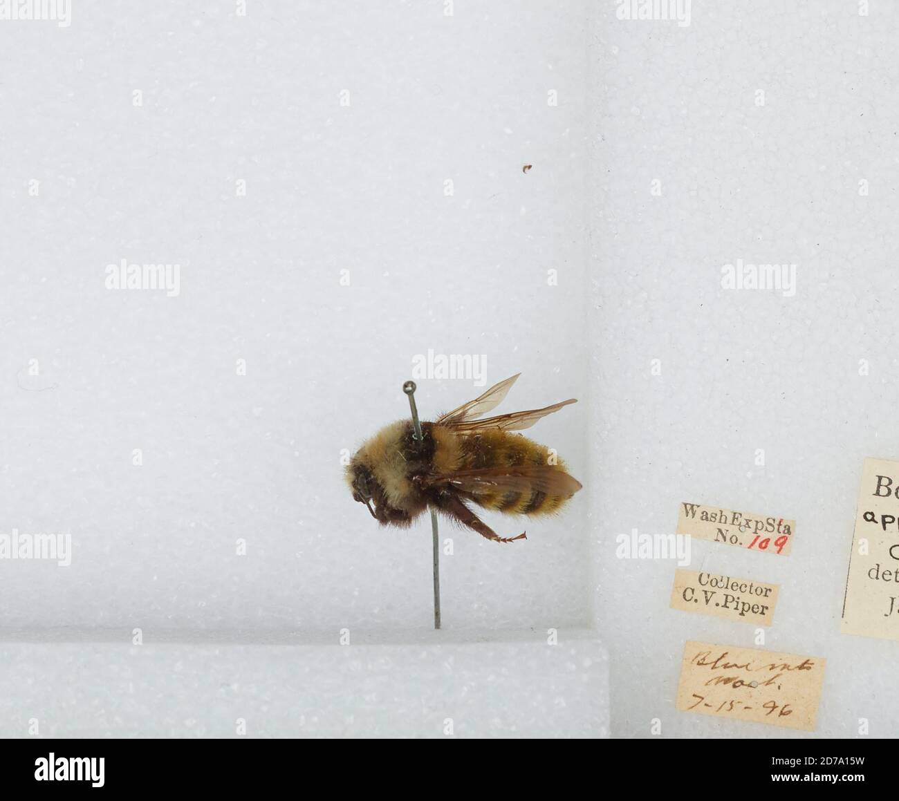 Washington experiment station number 109 hi-res stock photography and ...