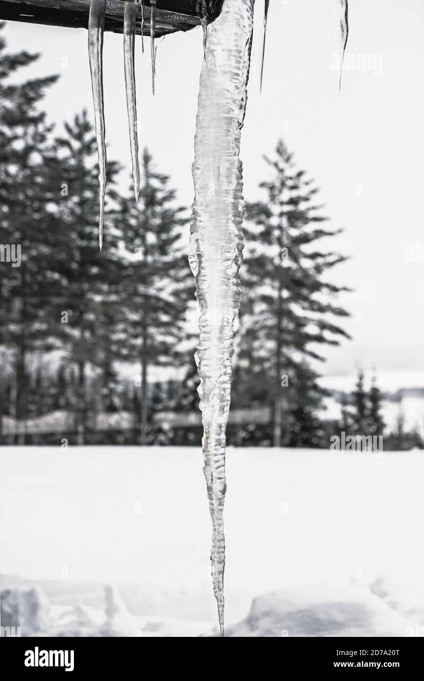 crystal frozen Icicles hanging on roof in winter Stock Photo - Alamy