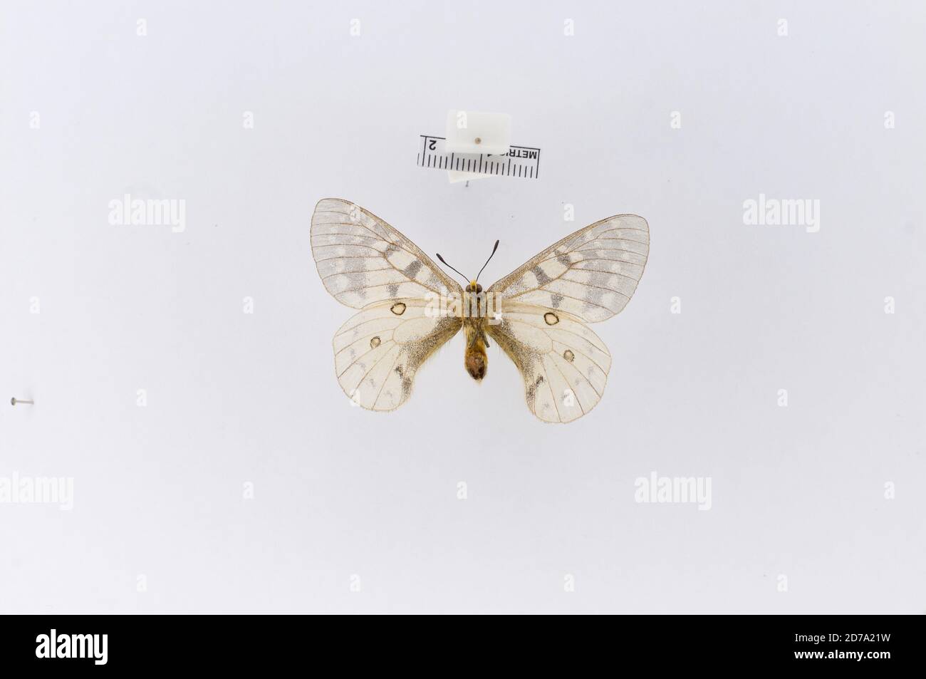 Alturas Lake, near Sawtooth Mountain, Blaine, Idaho, United States ...